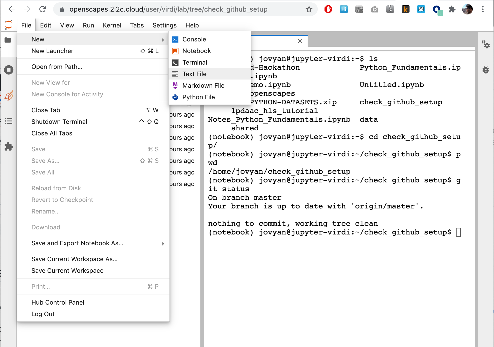 Git - Jupyter Lab – 2024 Quarto Workshop